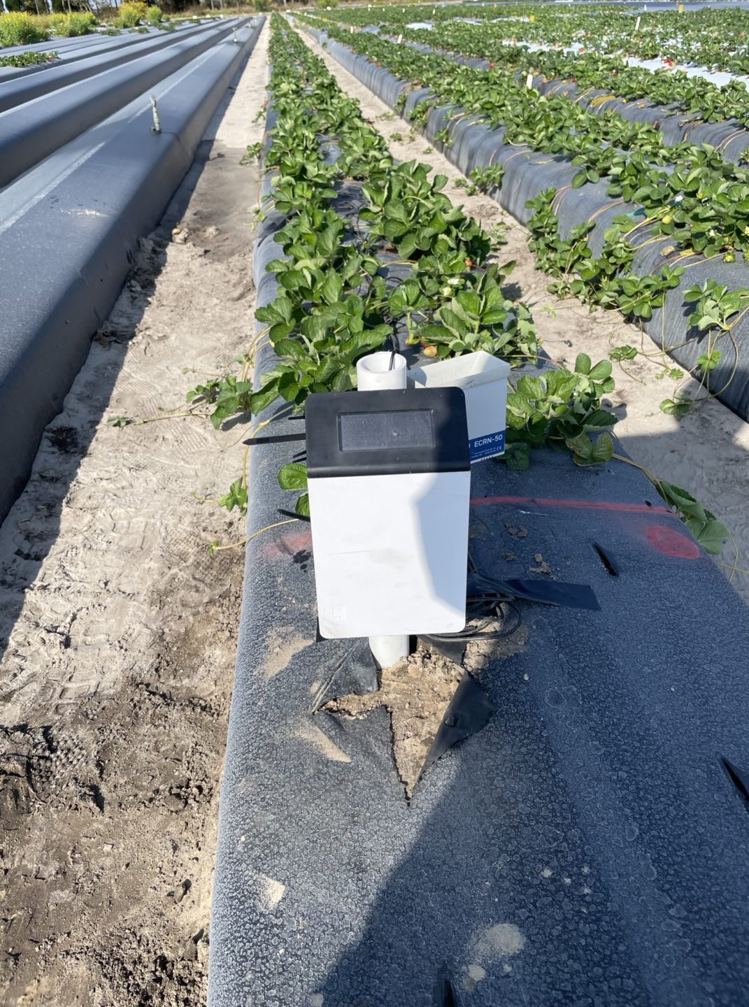 Soil Monitoring Technology and Real-time Data Improve Outcomes for ...
