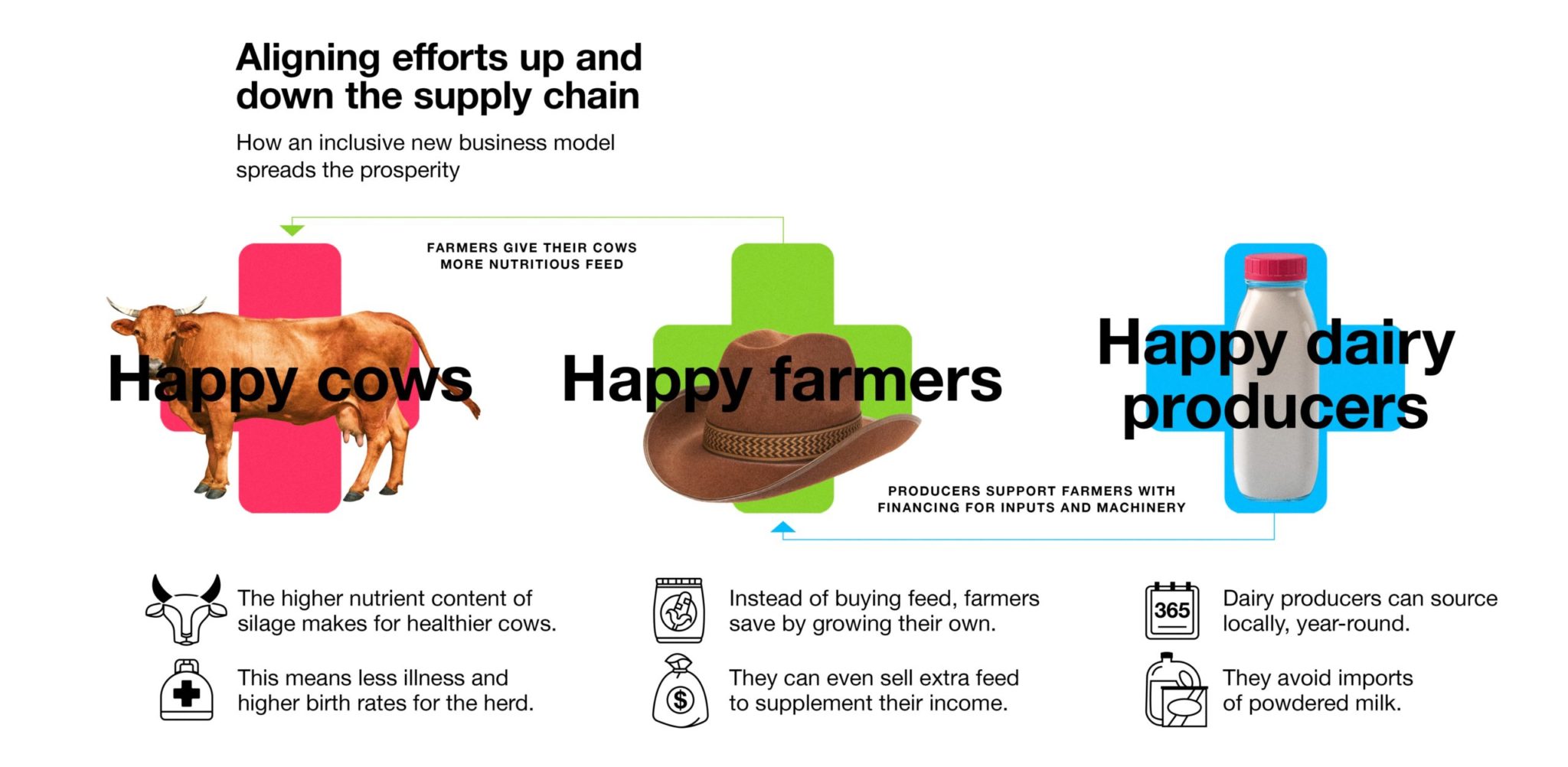 How a small change in cattle feed is transforming ranchers’ lives in ...